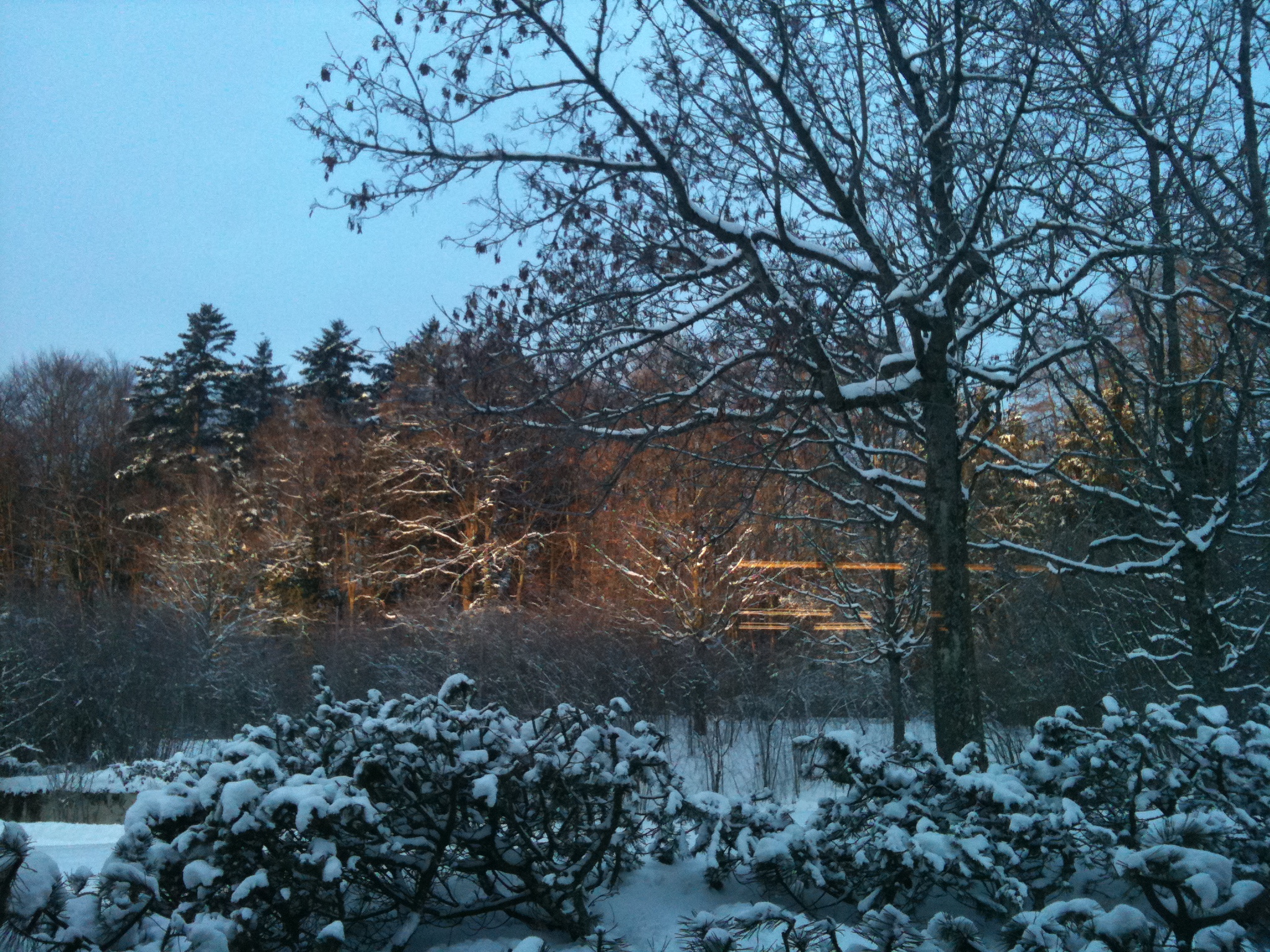 La troisième lune de l'année a eu lieu. - Véronique Mooser